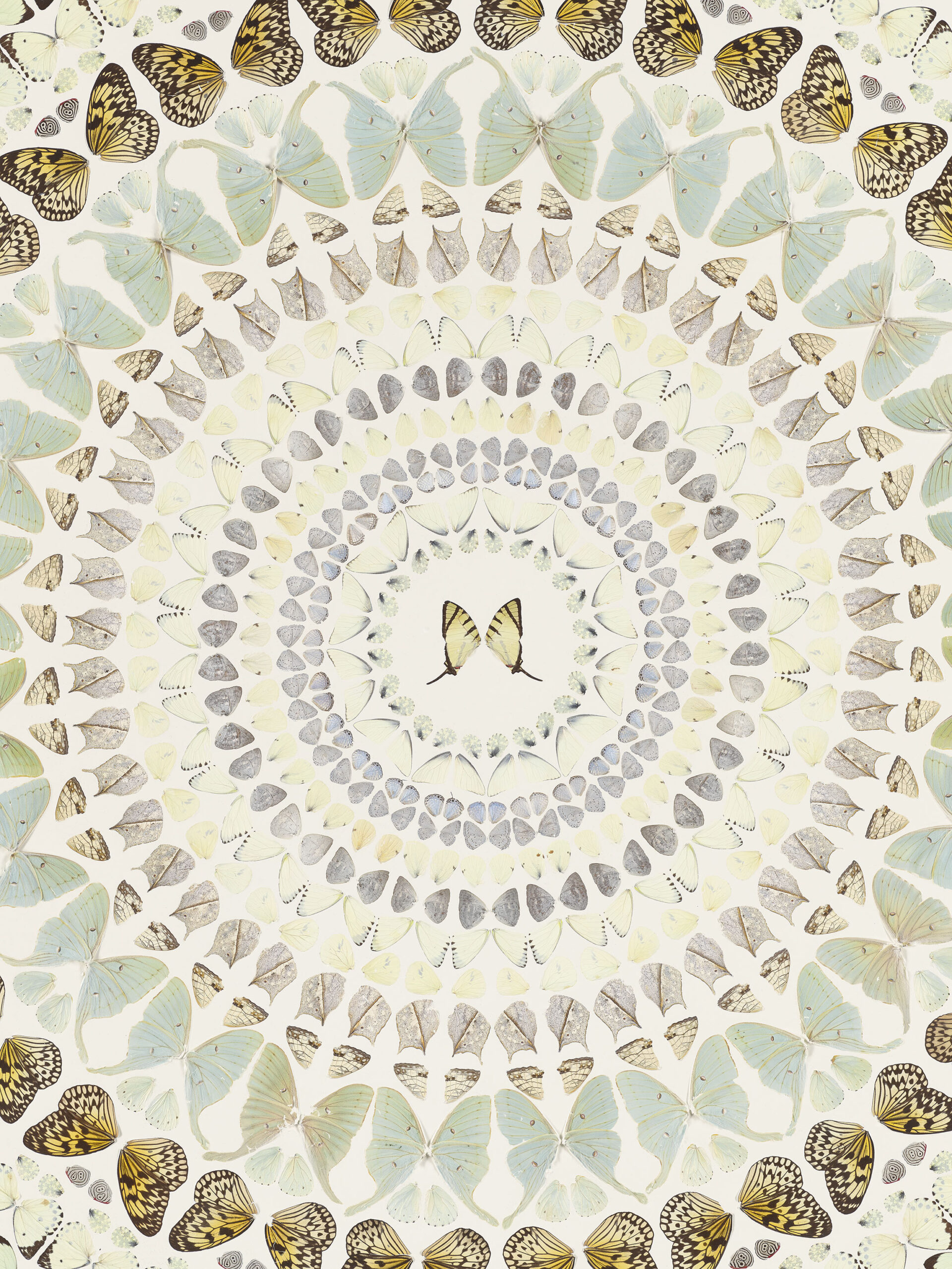 Muttertag-Special » MUCA